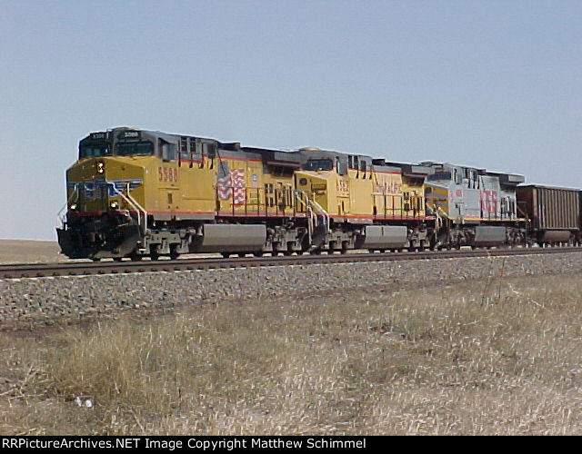 UP & KCS Elephant Style Lash Up